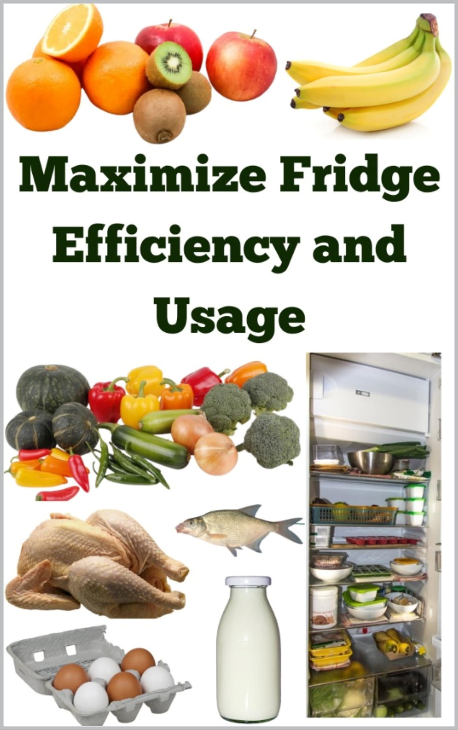 Maximize Fridge Efficiency and Usage - OHFB