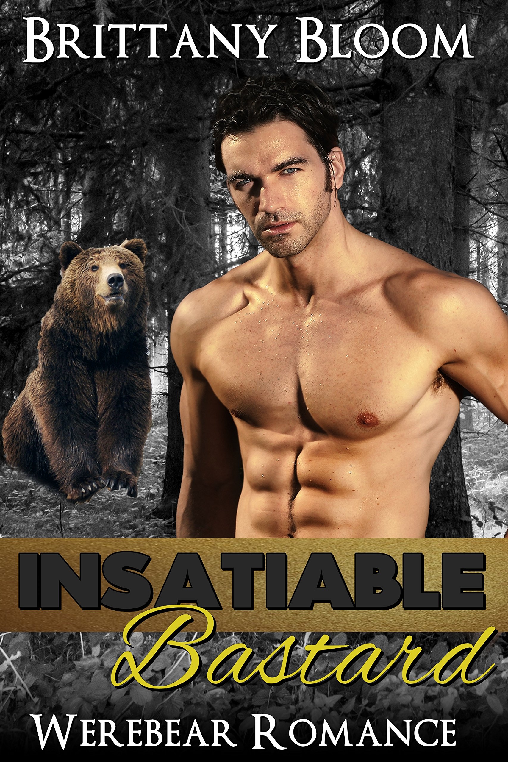 Shifter Romance: Insatiable Bastard Bad Boy Bbw Werebear Shifter ...