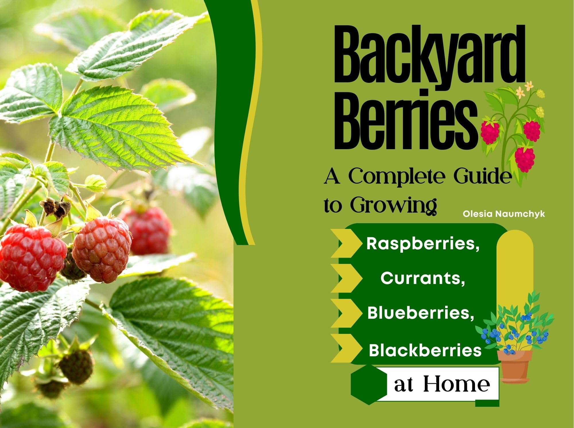 Backyard Berries: a Complete Guide to Growing Raspberries, Currants ...